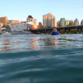 Sunnyside Calgary Apartments for Rent and Rentals - Walk Score